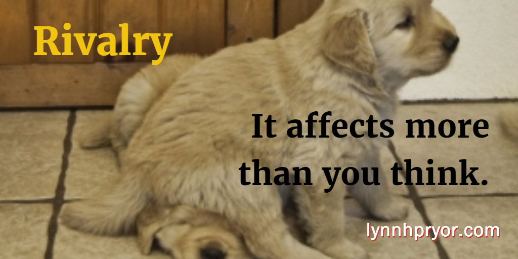 A Rivalry Affects More Than Two People – Lynn Pryor