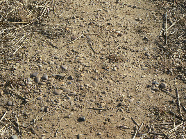 Working the Soil: Changing Lives – Lynn Pryor