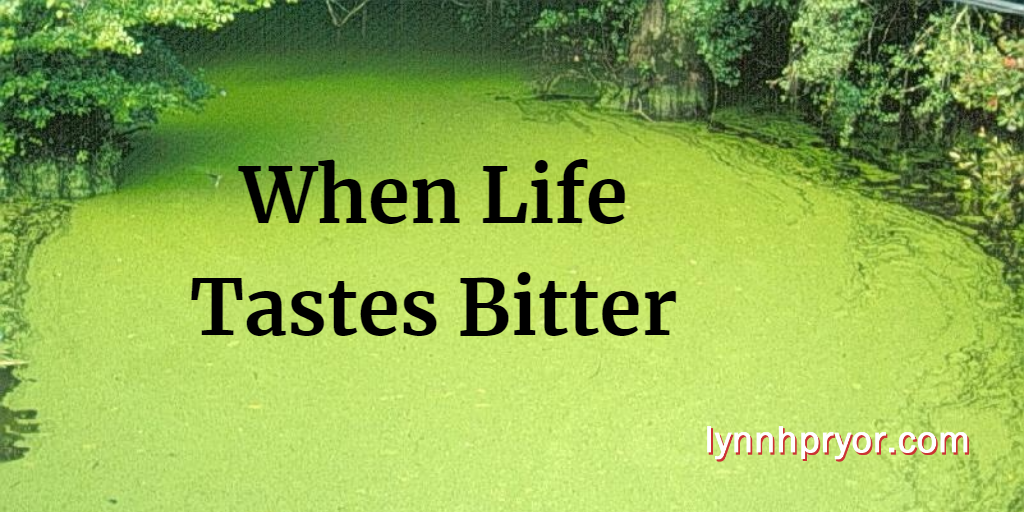 When Life Tastes Bitter – Lynn Pryor