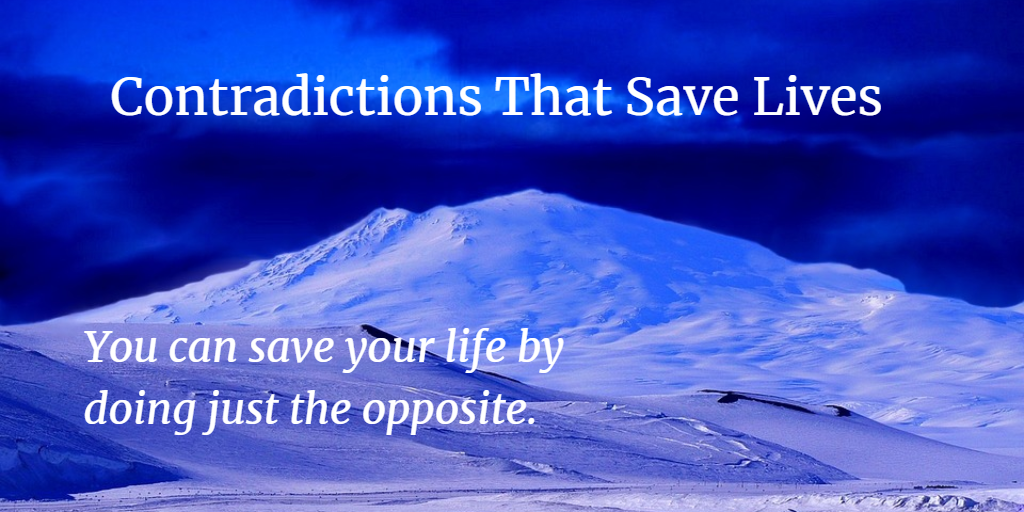 Contradictions That Save Lives – Lynn Pryor