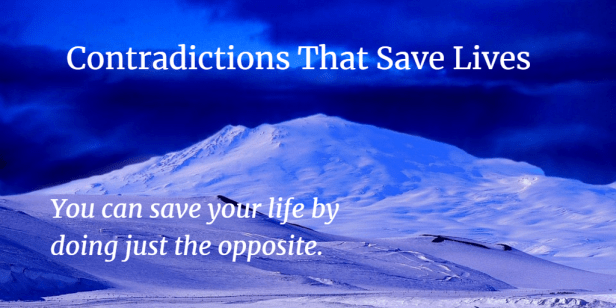 Contradictions That Save Lives – Lynn Pryor