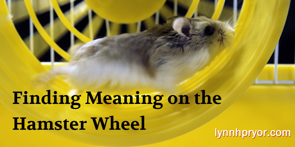 Finding Meaning on the Hamster Wheel – Lynn Pryor