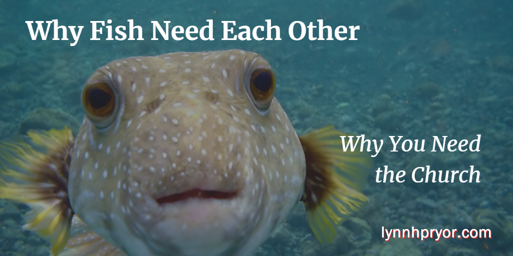 Why Fish Need Each Other (and Why You Need the Church) – Lynn Pryor