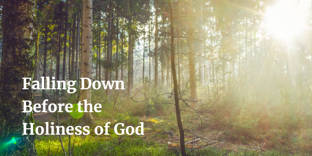 Falling Down Before the Holiness of God – Lynn Pryor