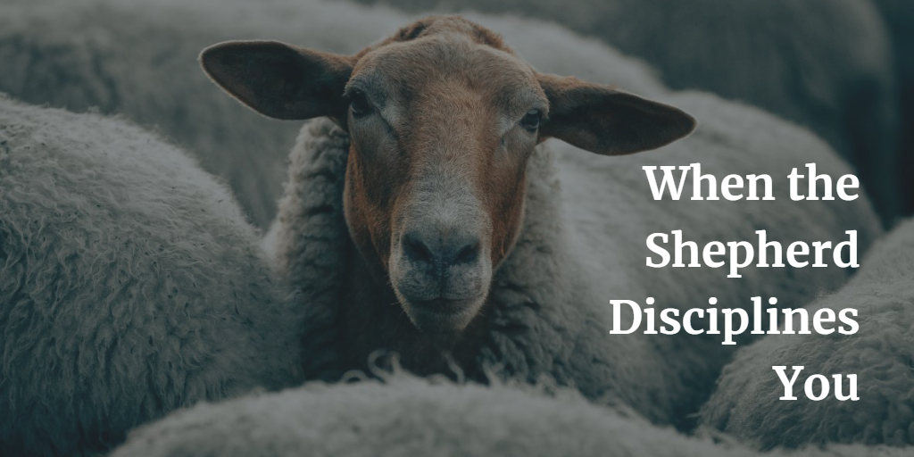 When the Shepherd Disciplines You – Lynn Pryor