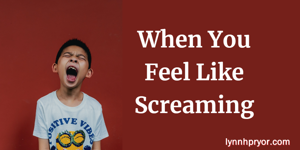 When You Feel Like Screaming – Lynn Pryor