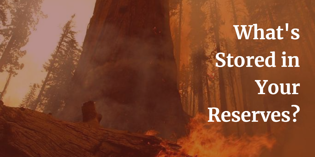 What’s Stored in Your Reserves? – Lynn Pryor